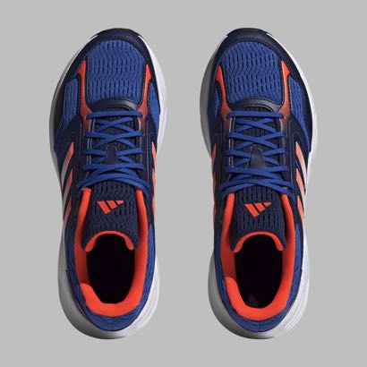 Bienvenido a dpdirecto