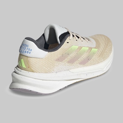 Bienvenido a dpdirecto