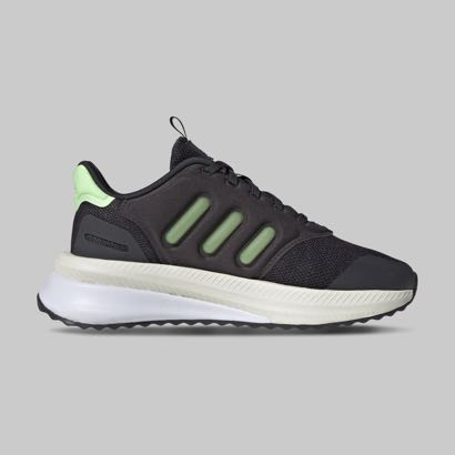 Bienvenido a dpdirecto