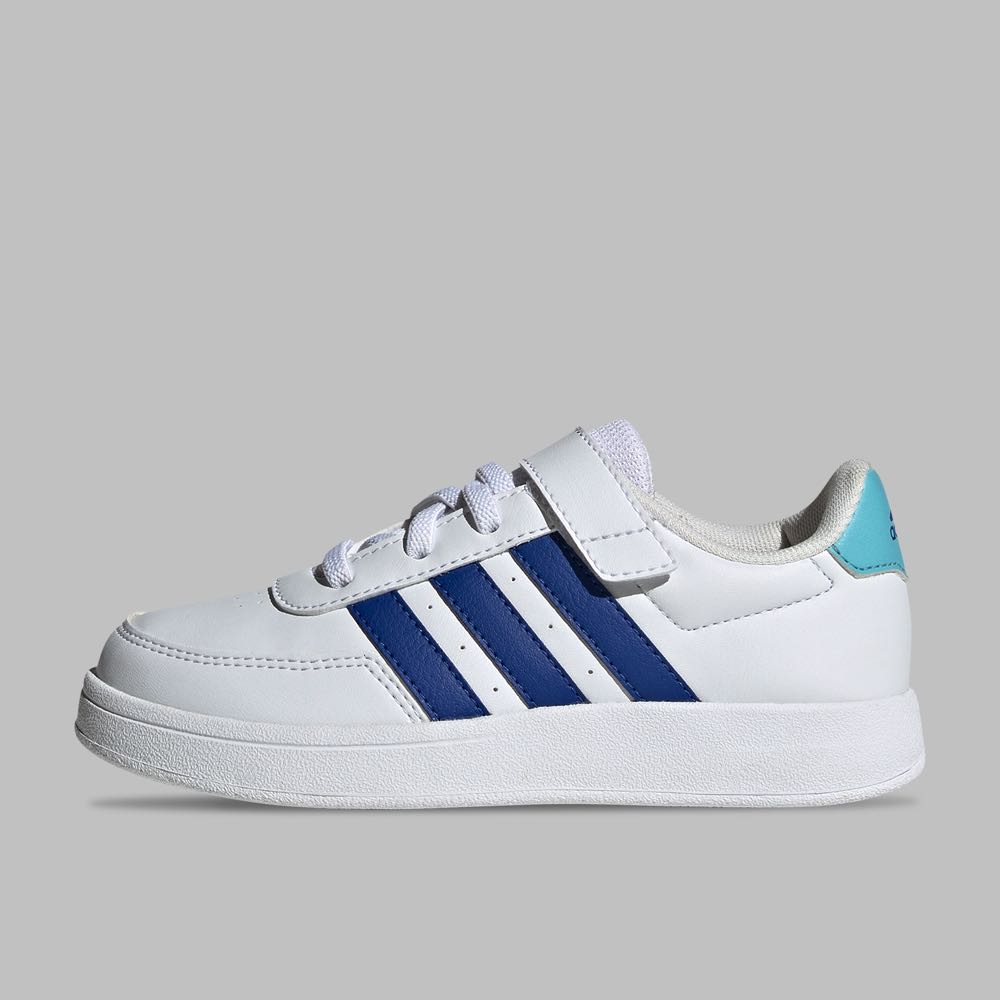 Bienvenido a dpdirecto