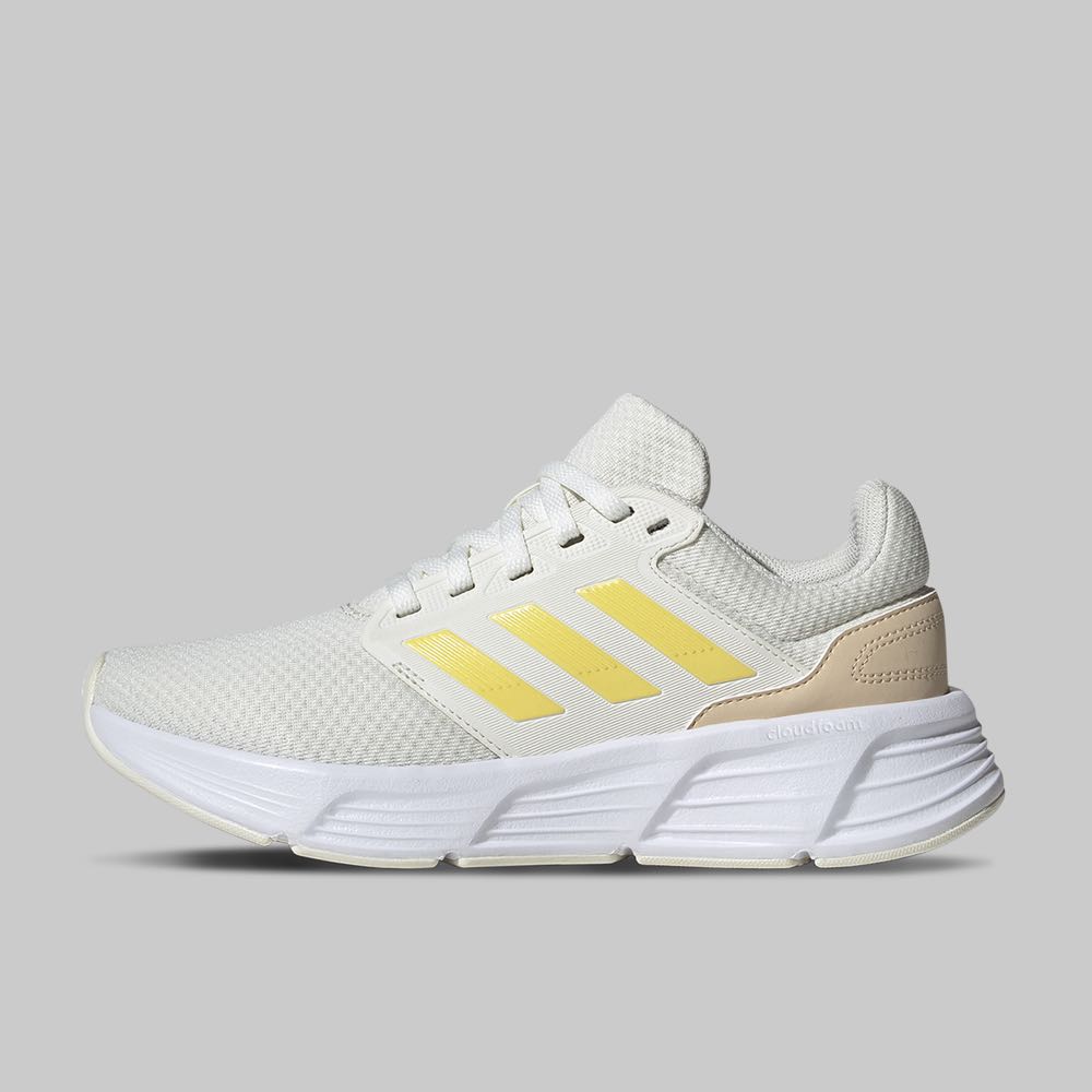 Bienvenido a dpdirecto