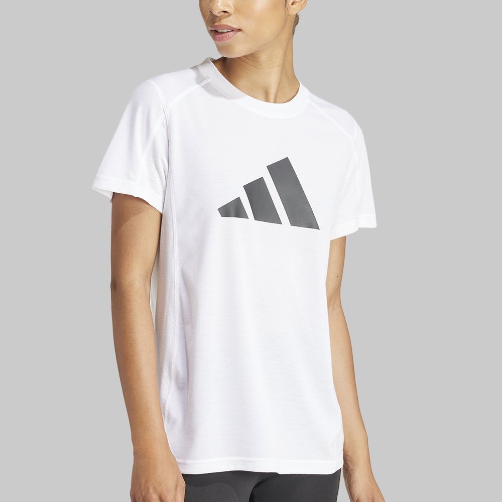 Bienvenido a dpdirecto